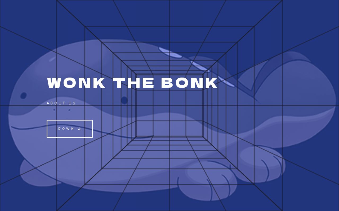 Wonk the Bonk about us